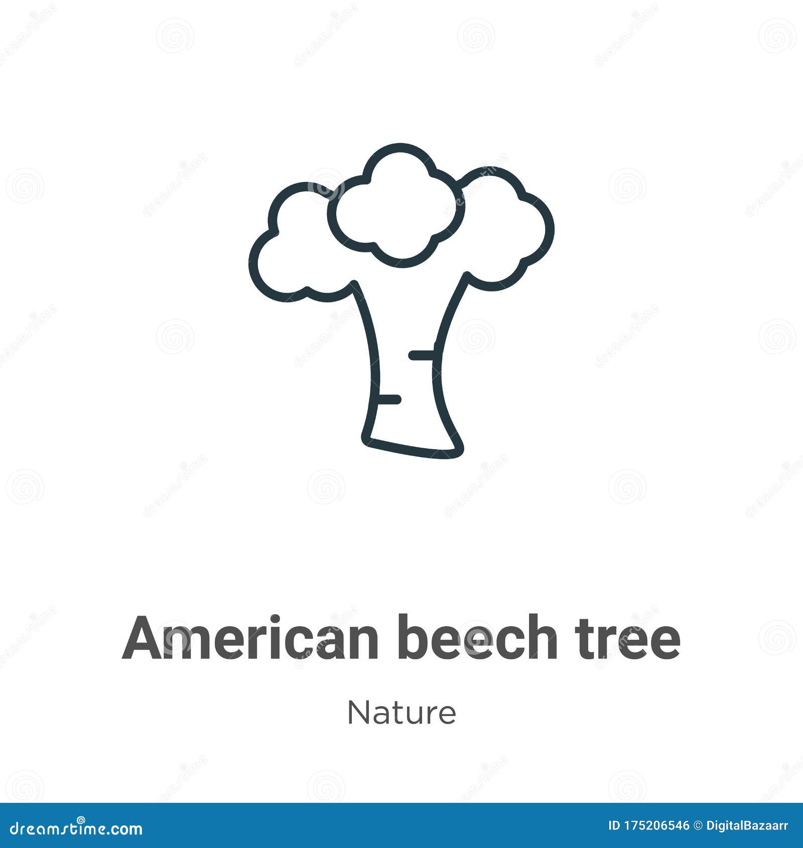 American Beech Tree Outline Vector Icon. Thin Line Black American Beech ...