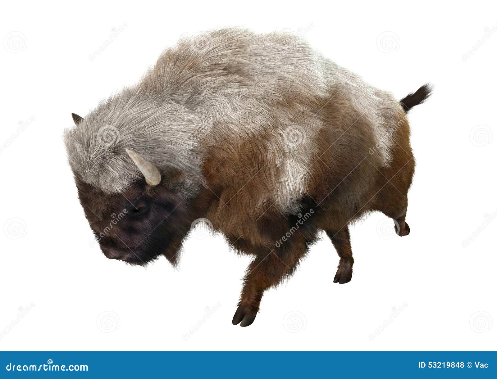 American Bison stock photo. Image of wildlife, brown - 53219848