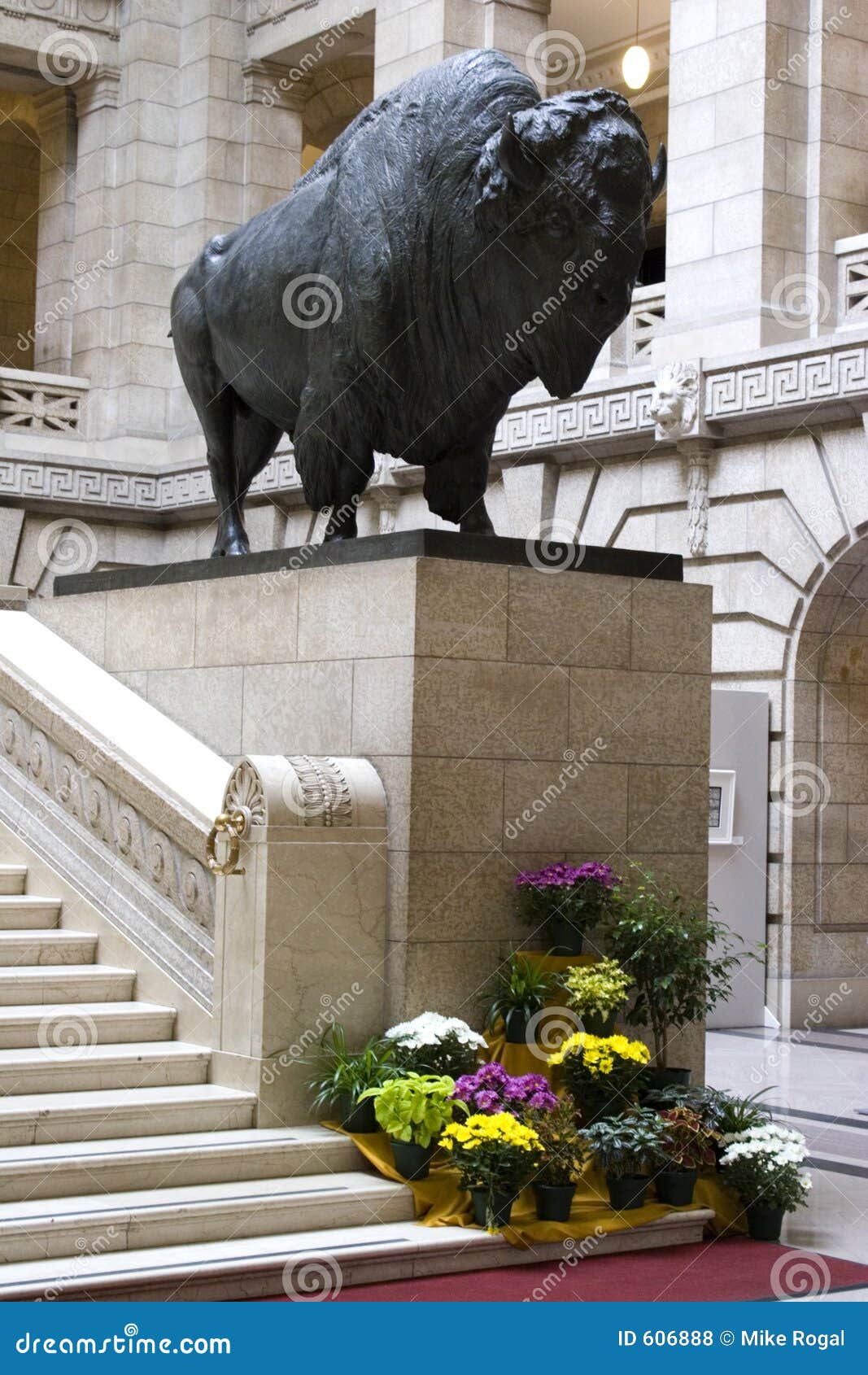American bison statue stock photo. Image of building, statue - 606888