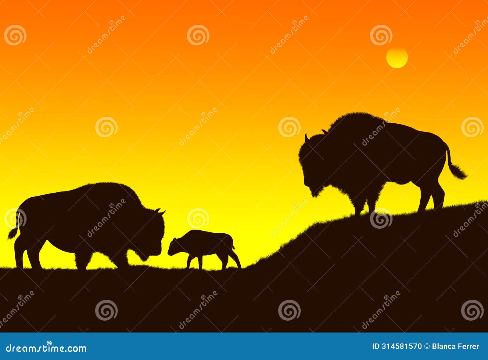 American Bison with Their Calf Outdoors at Sunset Stock Illustration ...