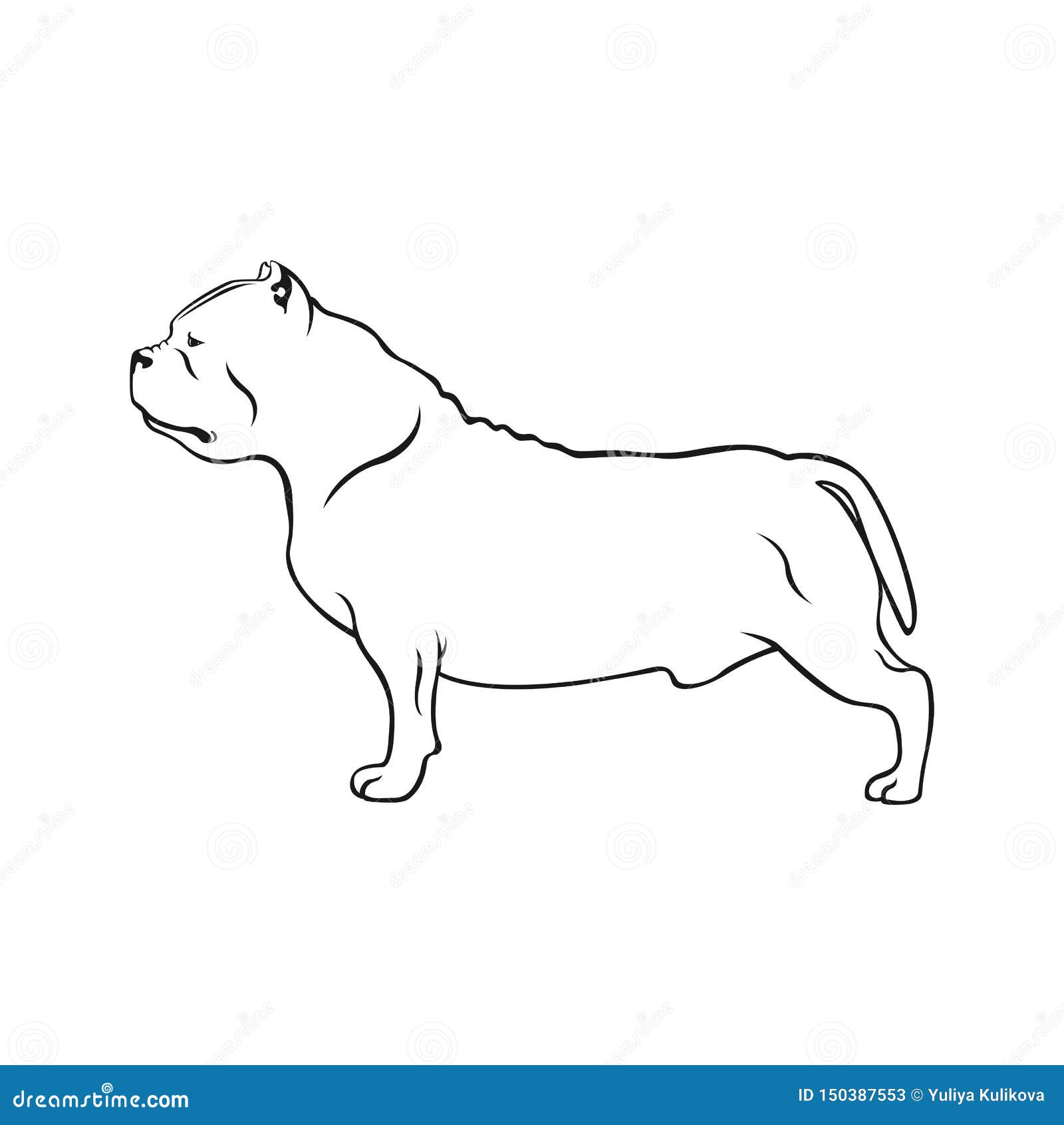 American Bully Dog Breed Stock Illustrations – 156 American Bully Dog ...