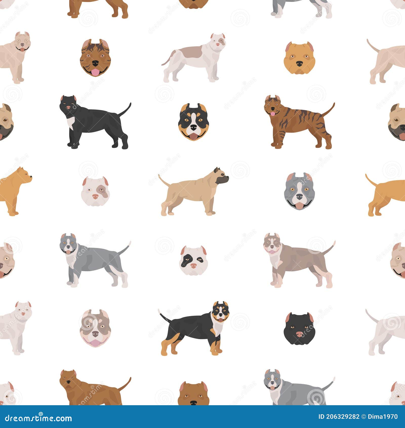 American Bully Dogs Set. Color Varieties, Different Poses Stock Vector ...