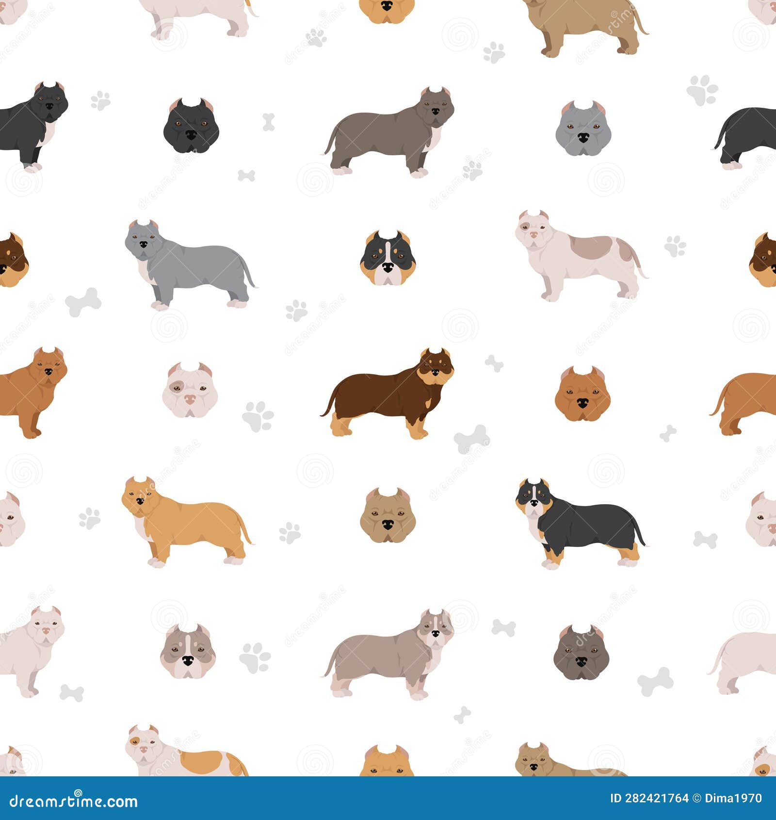 American Bully Dogs Set. Color Varieties, Different Poses Stock Vector ...