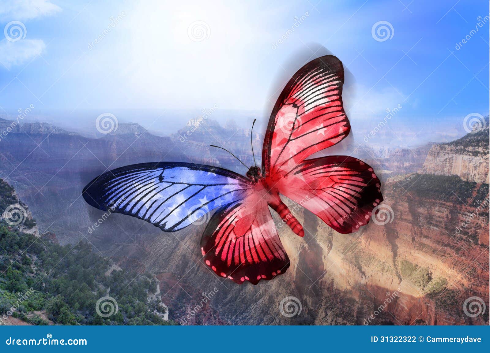 American Butterfly Freedom stock photo. Image of butterfly - 31322322
