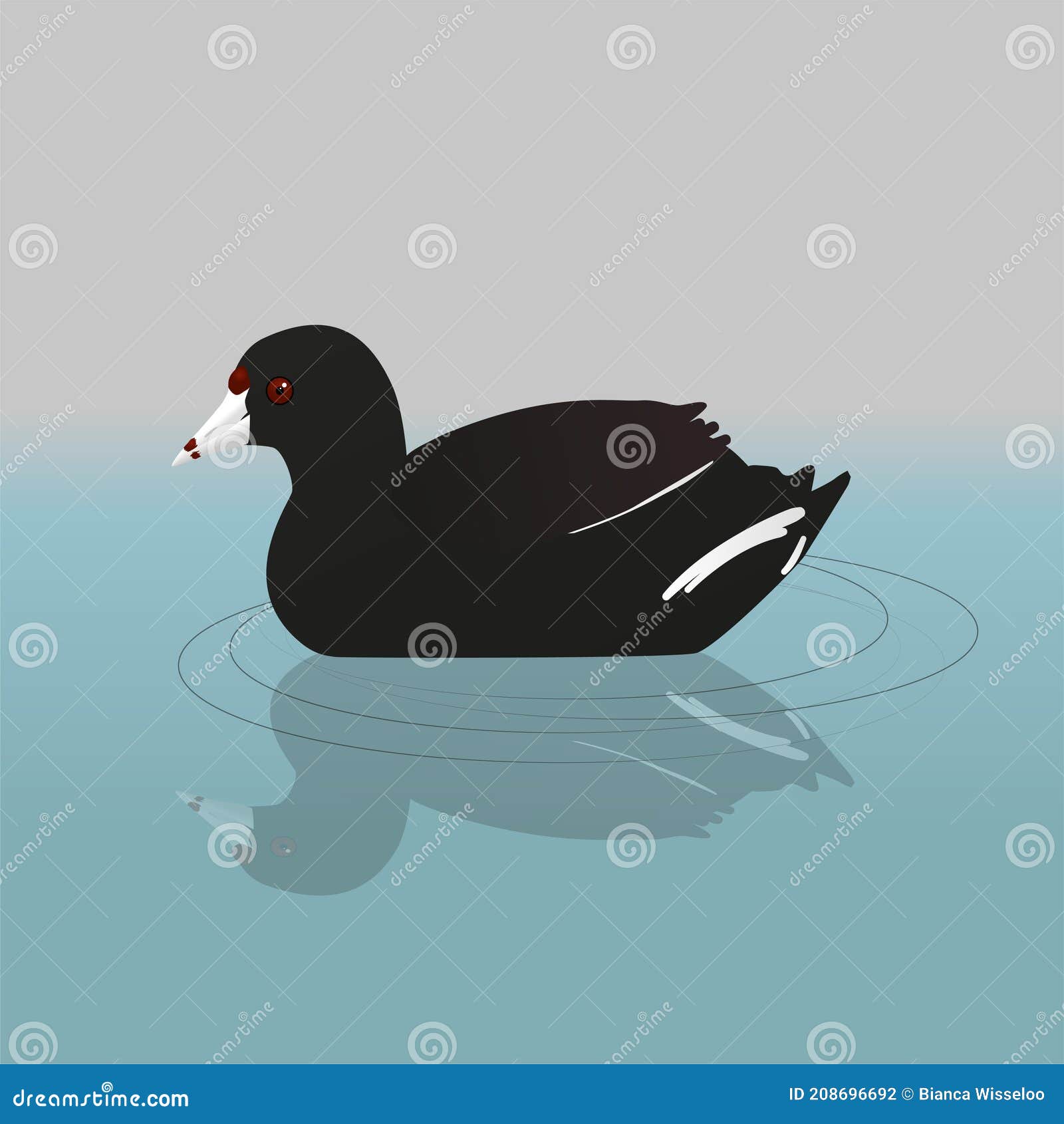 Coot Family Stock Illustrations – 5 Coot Family Stock Illustrations ...
