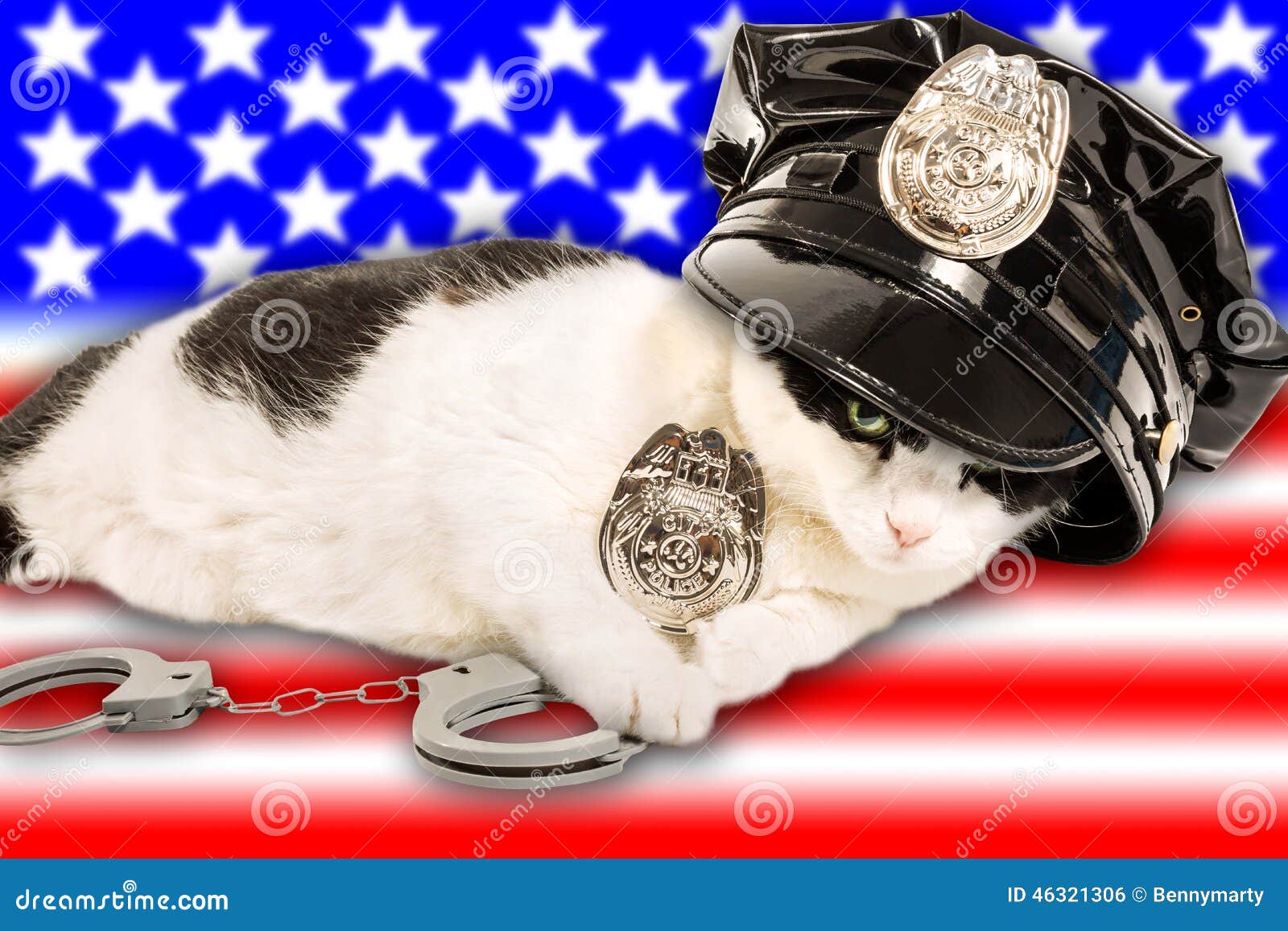 American Cop Cat stock photo. Image of police, black - 46321306