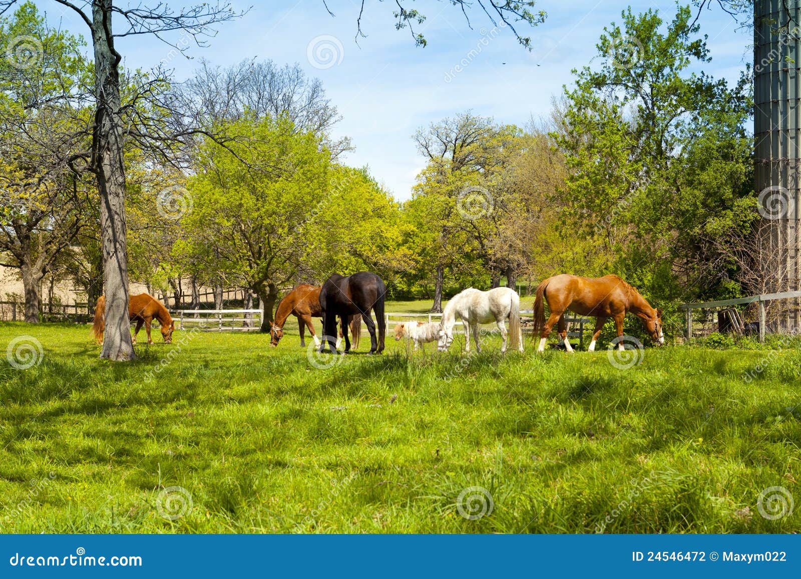 American Country stock photo. Image of land, american - 24546472