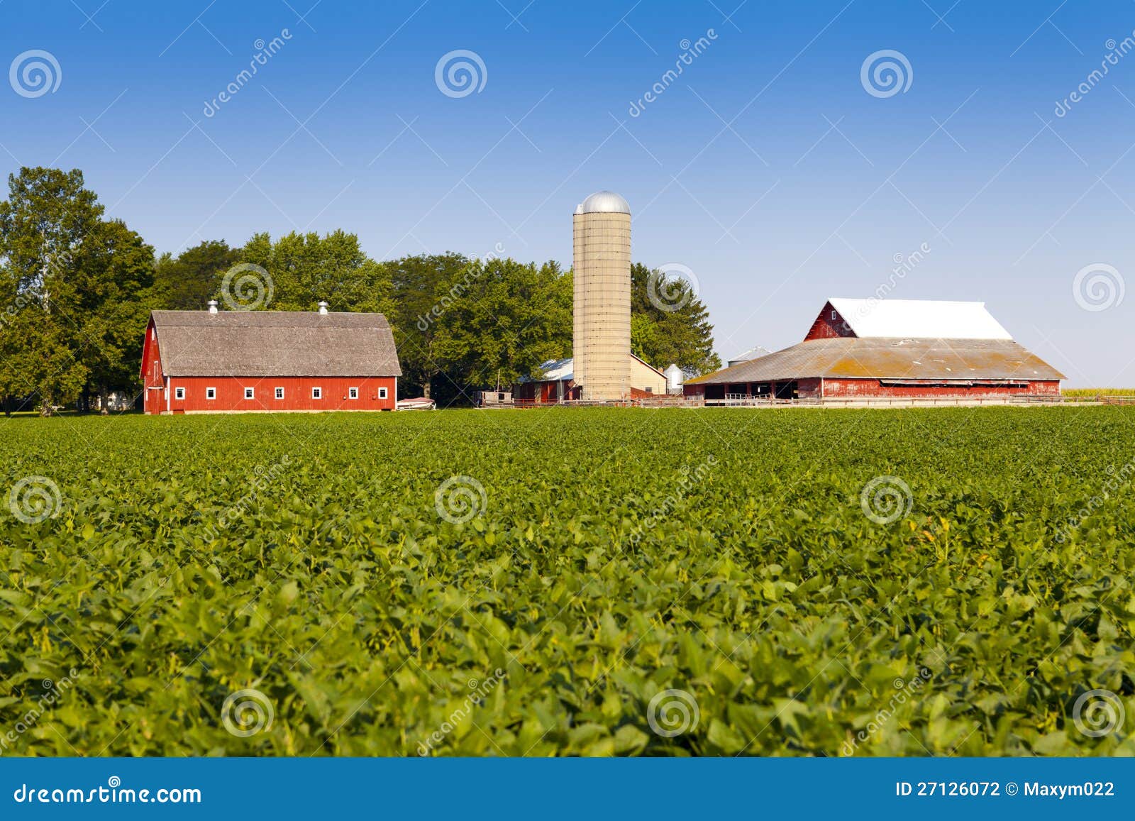 American Country Farm stock photo. Image of clean, country - 27126072