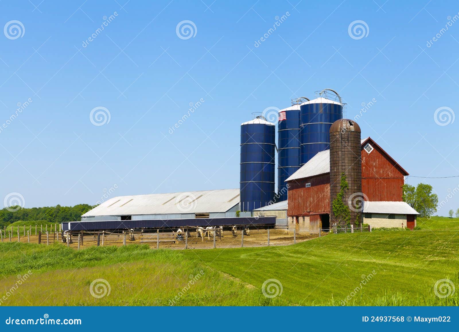American Countryside stock photo. Image of morning, landscape - 24937568
