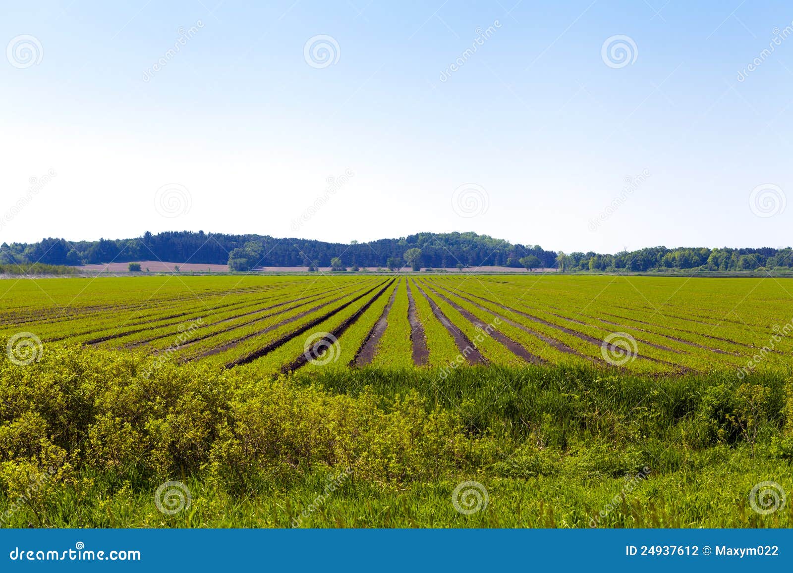 American Countryside stock photo. Image of midwest, green - 24937612