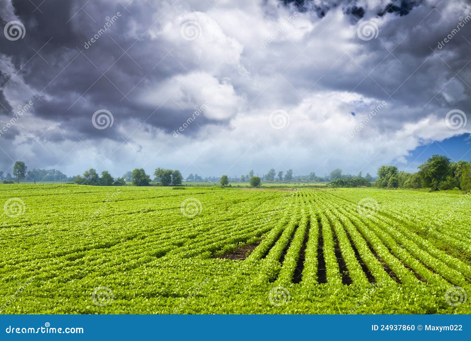American Countryside stock photo. Image of clean, field - 24937860