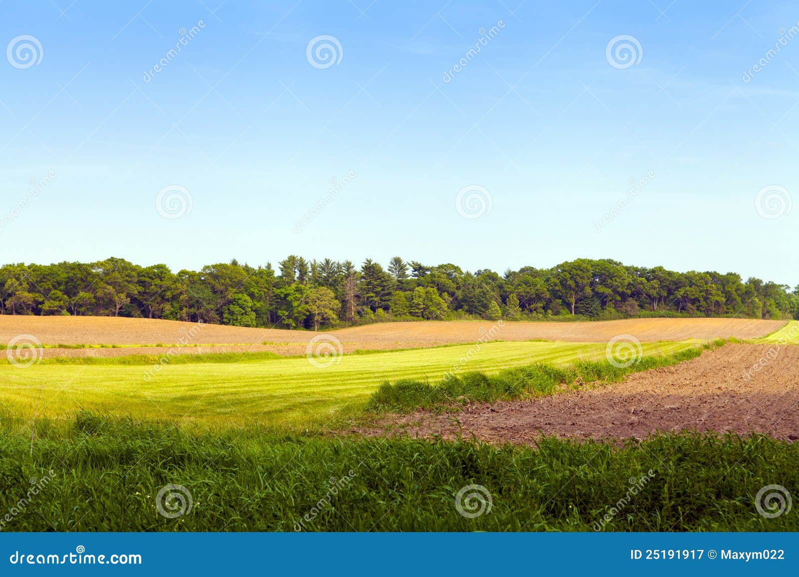 American Countryside stock image. Image of field, blue - 25191917