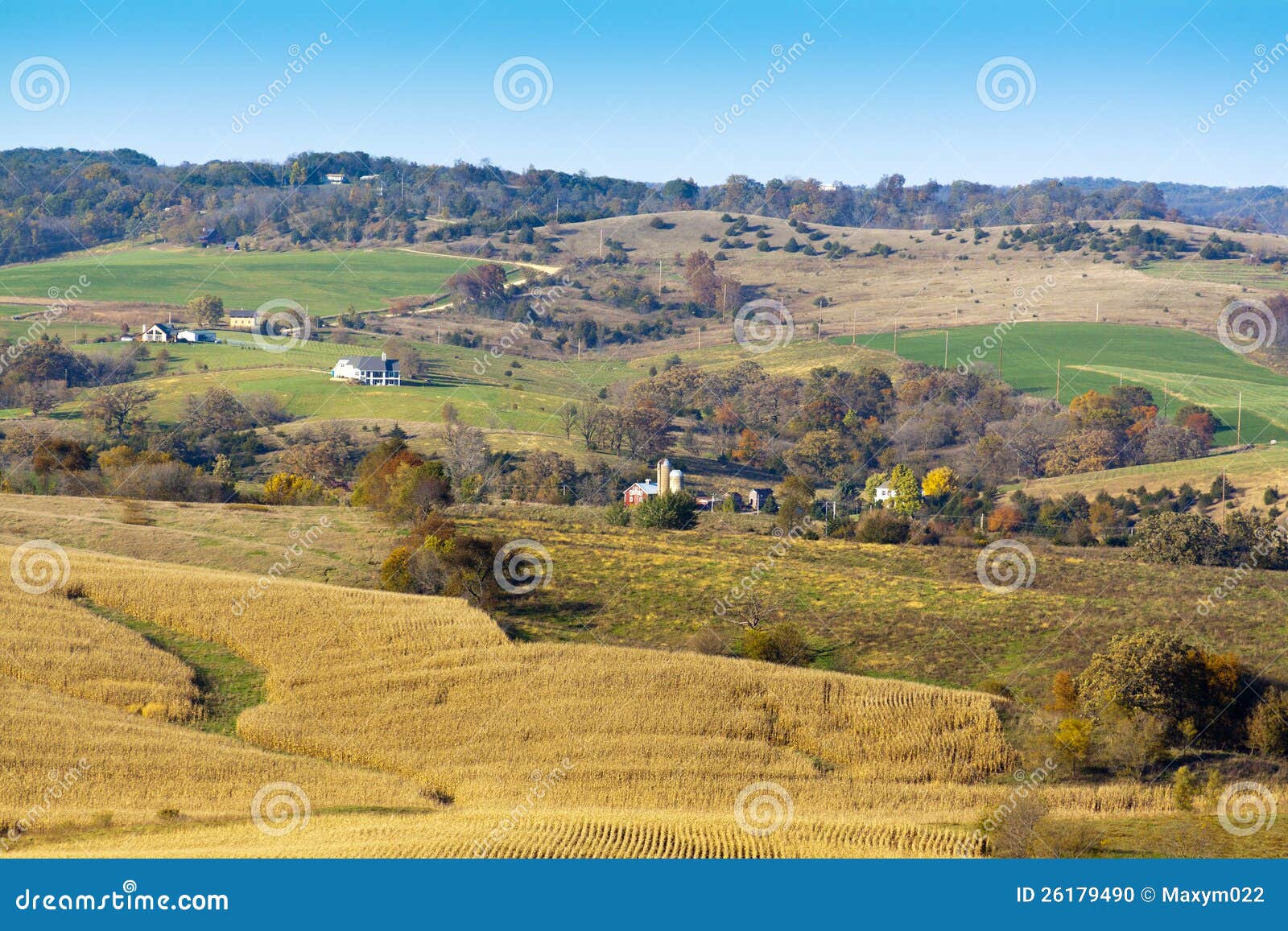 American Countryside stock photo. Image of harvest, growth - 26179490