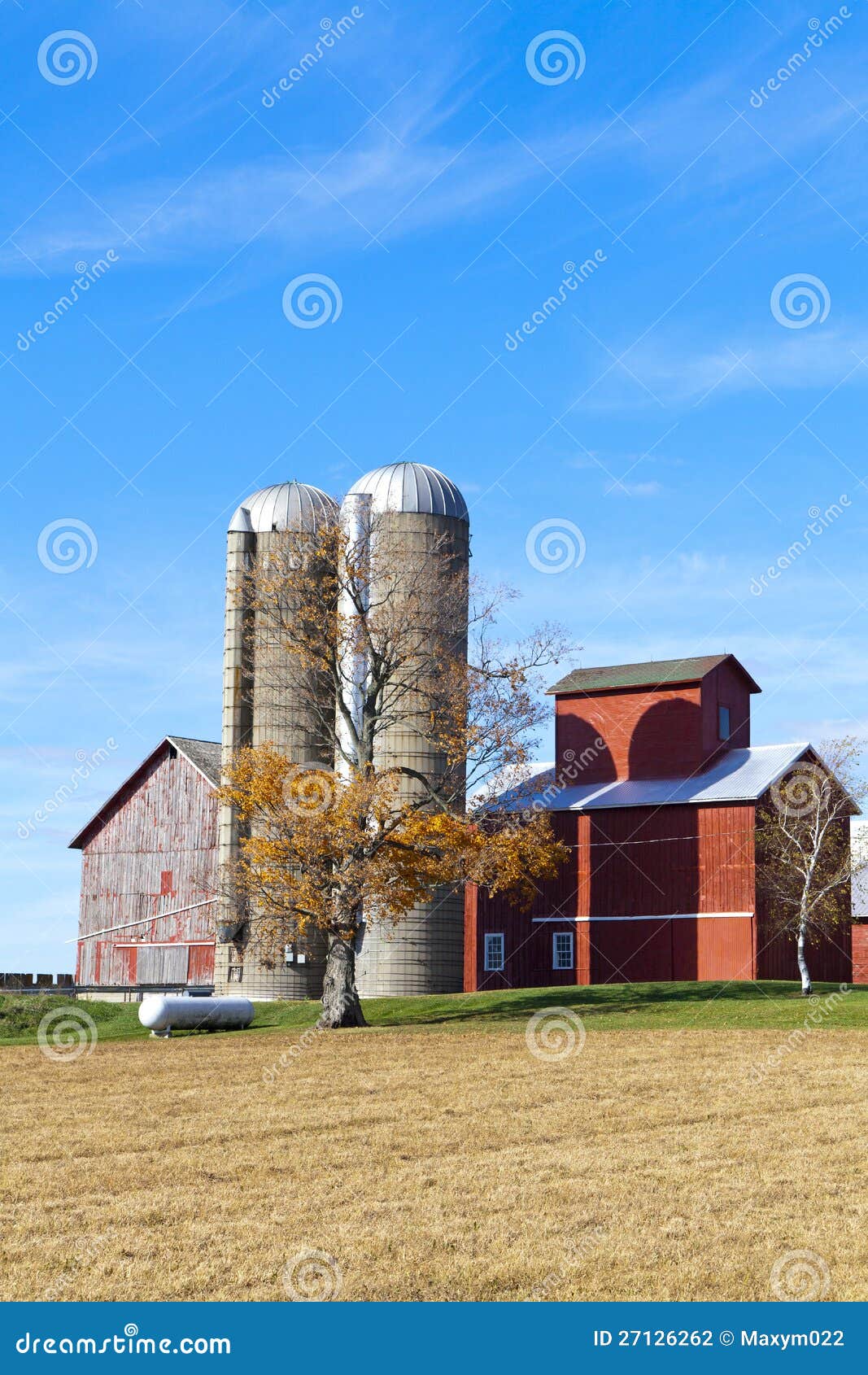 American Countryside stock photo. Image of blue, foliage - 27126262