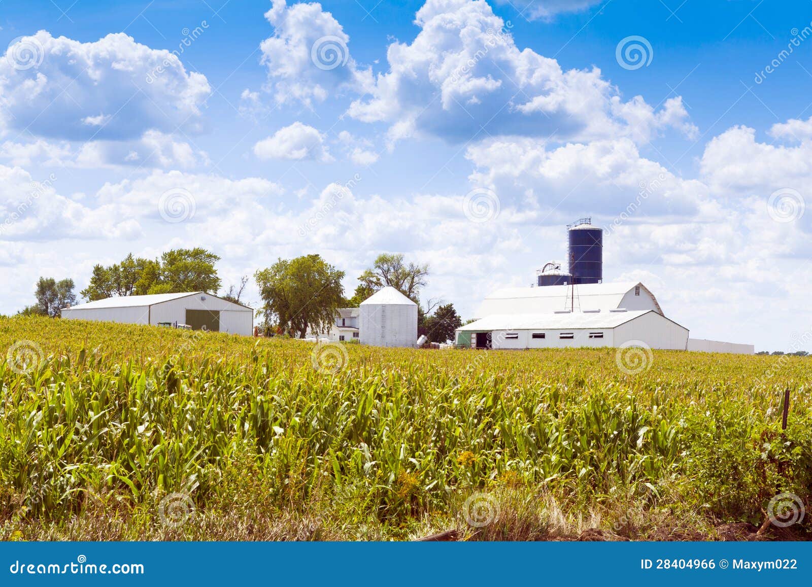 American Countryside stock photo. Image of grass, growth - 28404966
