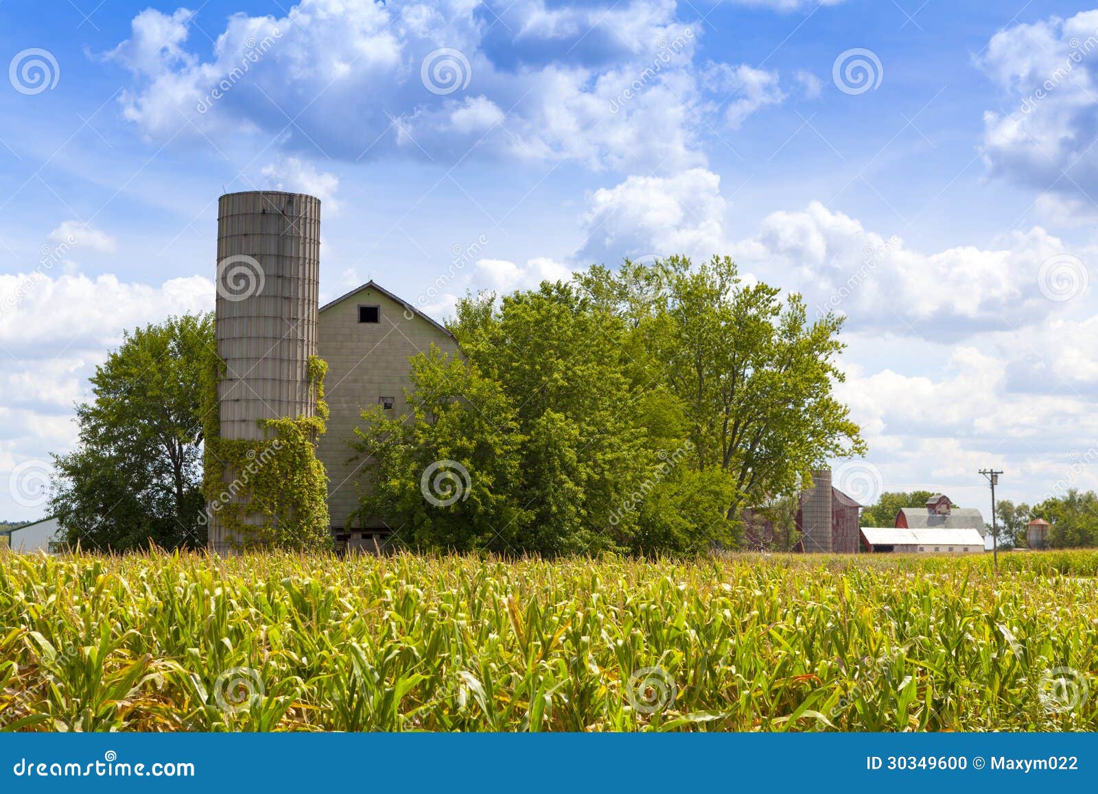 American Countryside stock photo. Image of countryside - 30349600