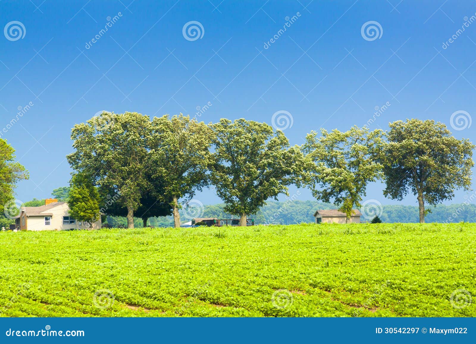 American Countryside stock image. Image of meadow, clean - 30542297