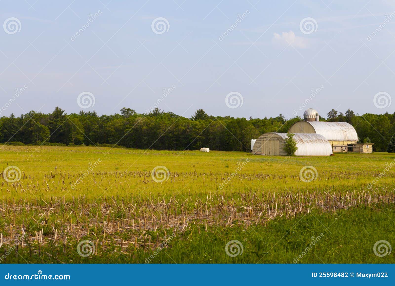 American Countryside Farm stock photo. Image of cattle - 25598482