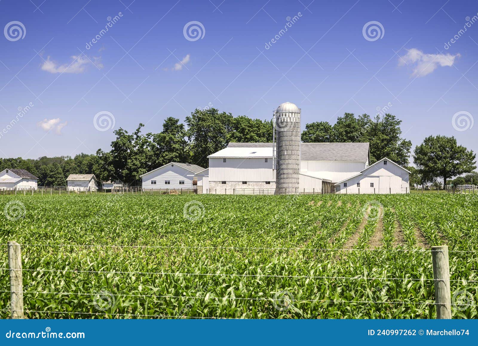 American Countryside Farm with Blue Sky Stock Photo - Image of cloud ...