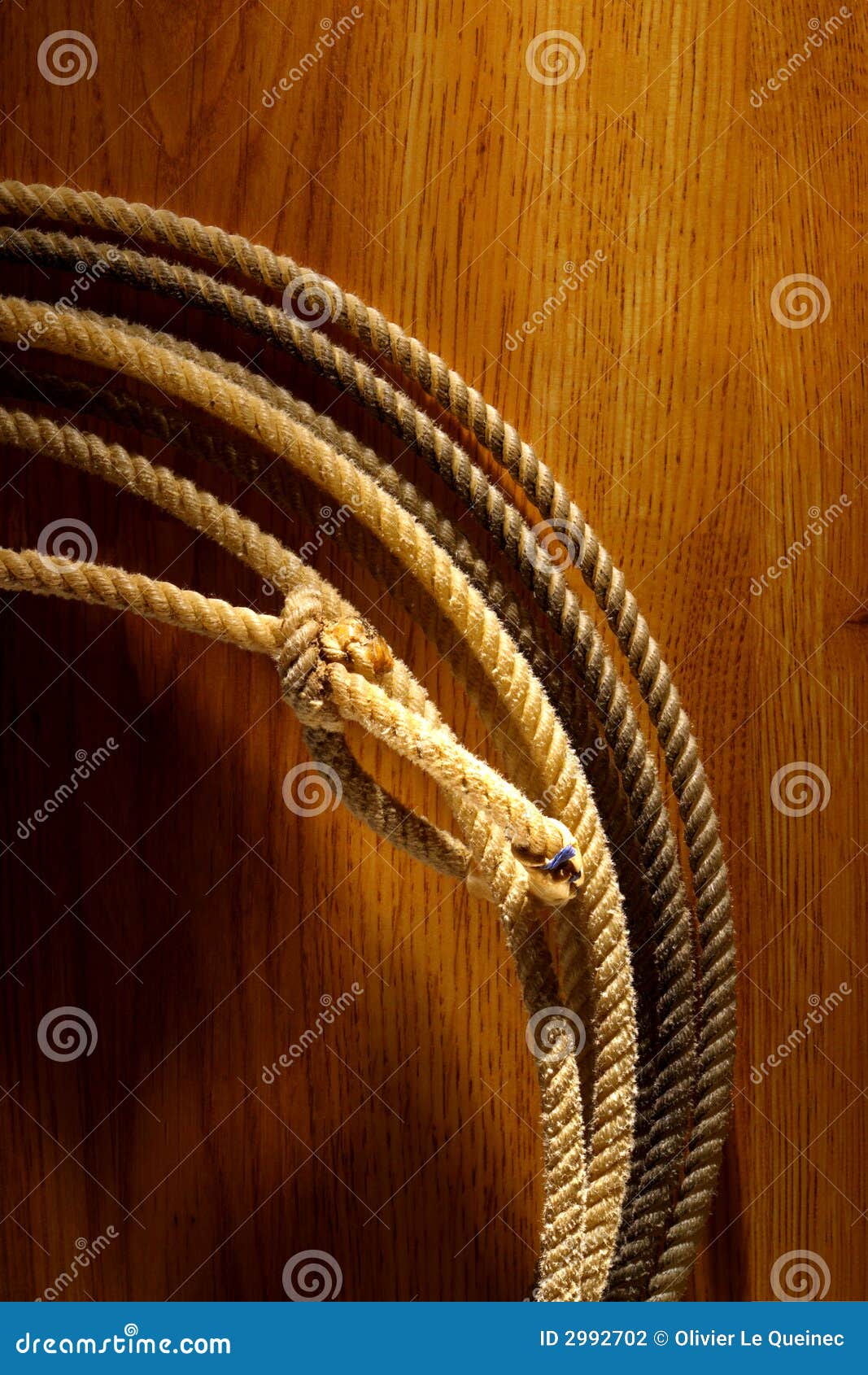 American Cowboy Lasso Rodeo West 库存照片 - 图片 包括有 工具, 西方: 2992702