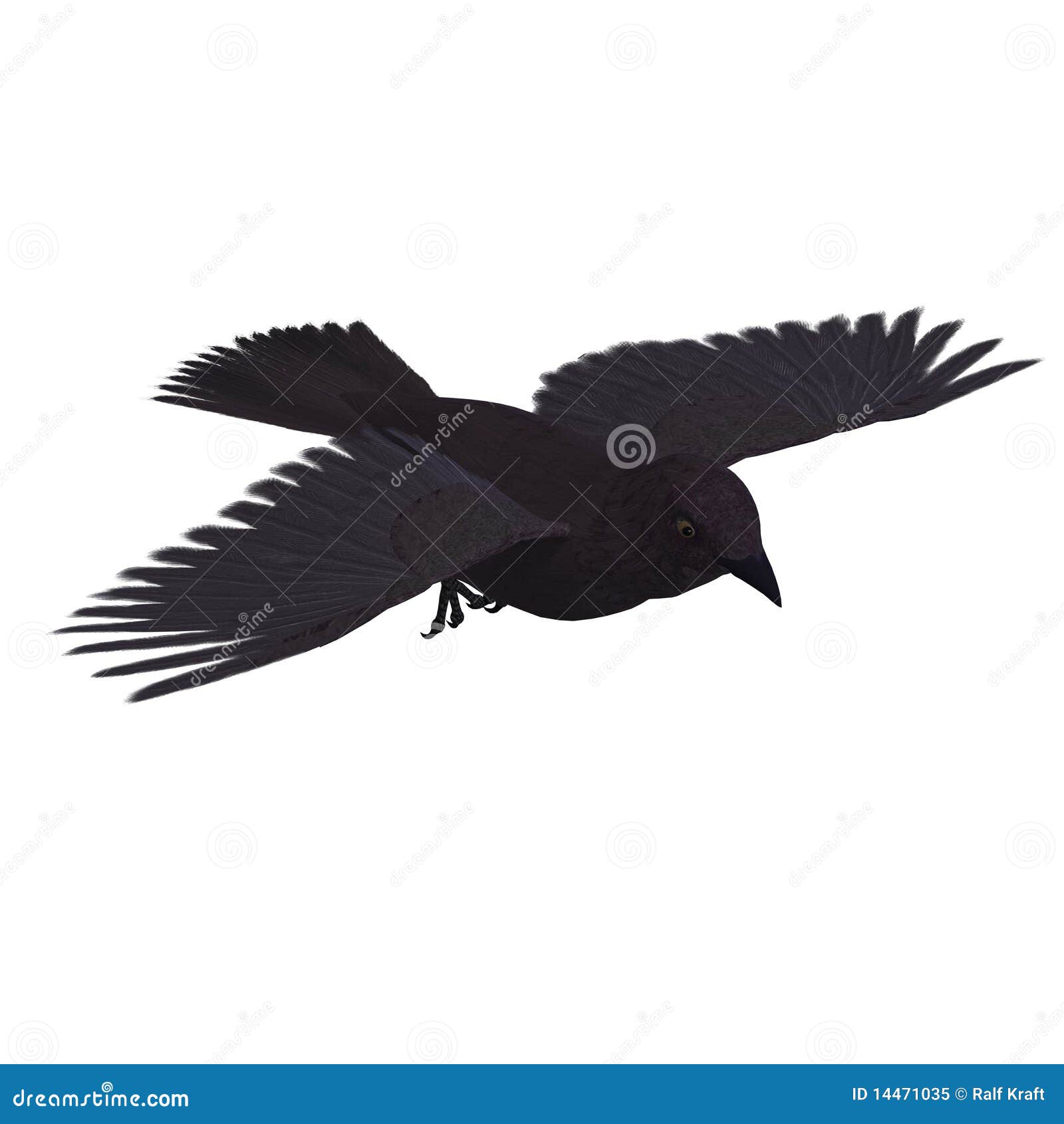 American Crow. 3D Rendering with Clipping Path Stock Illustration ...