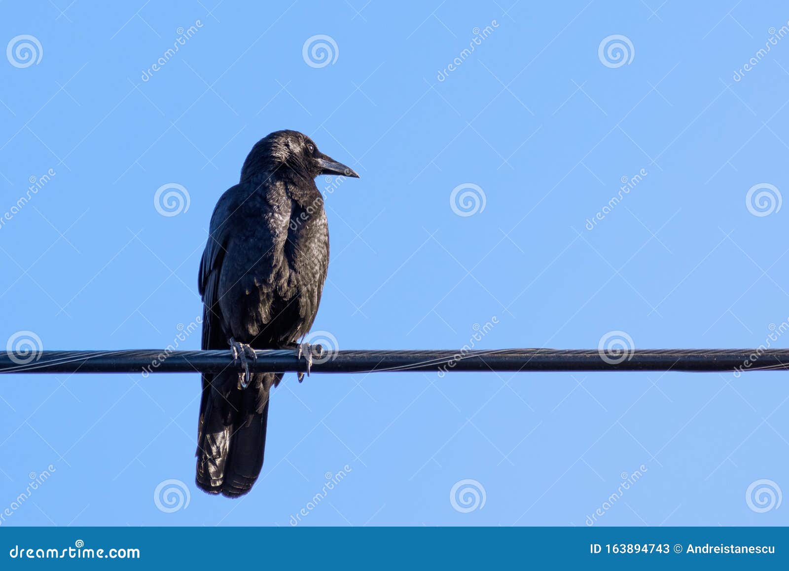 Crow Sitting On A Rail With Dry Mountain Slopes In The Background Stock ...