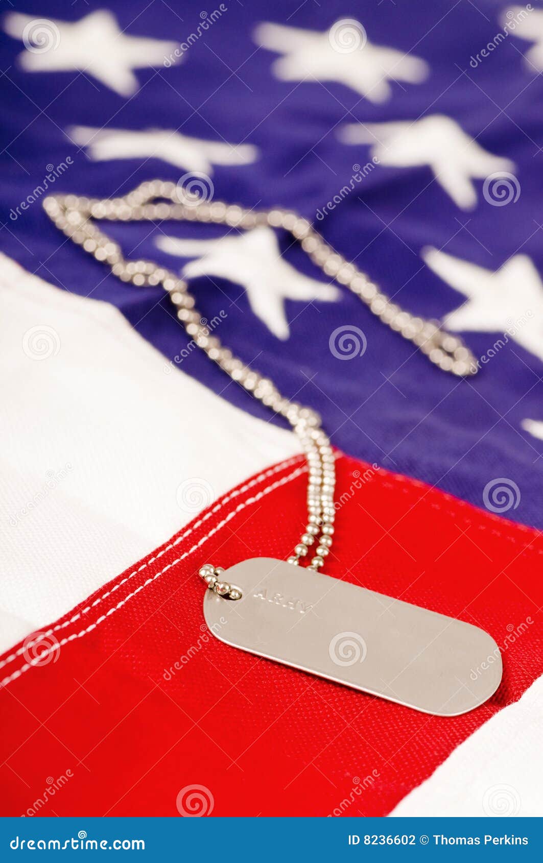 American Dog Tags stock photo. Image of liberty, american - 8236602