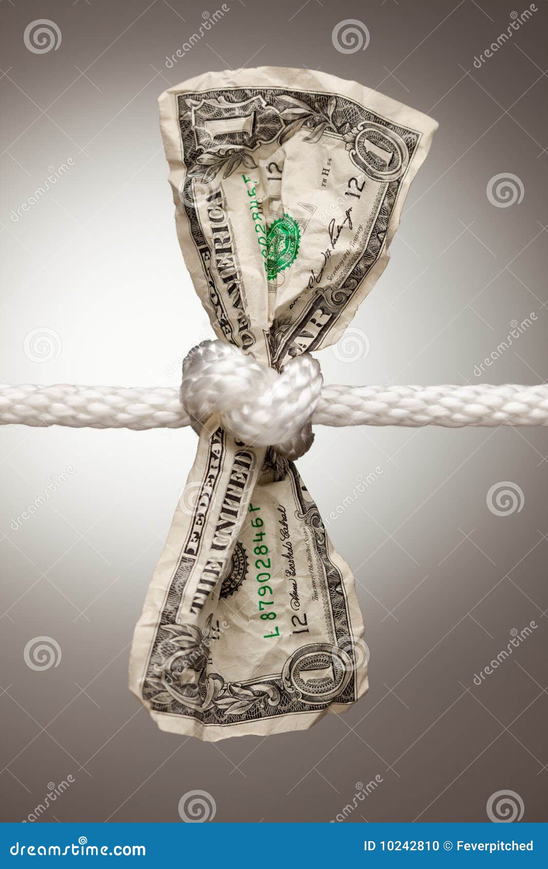 American Dollar Tied in Rope Stock Photo - Image of dead, banking: 10242810
