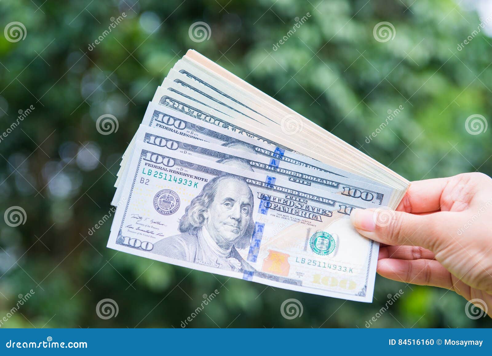 American Dollars Bank Note in Hand Stock Photo - Image of bill, paper ...