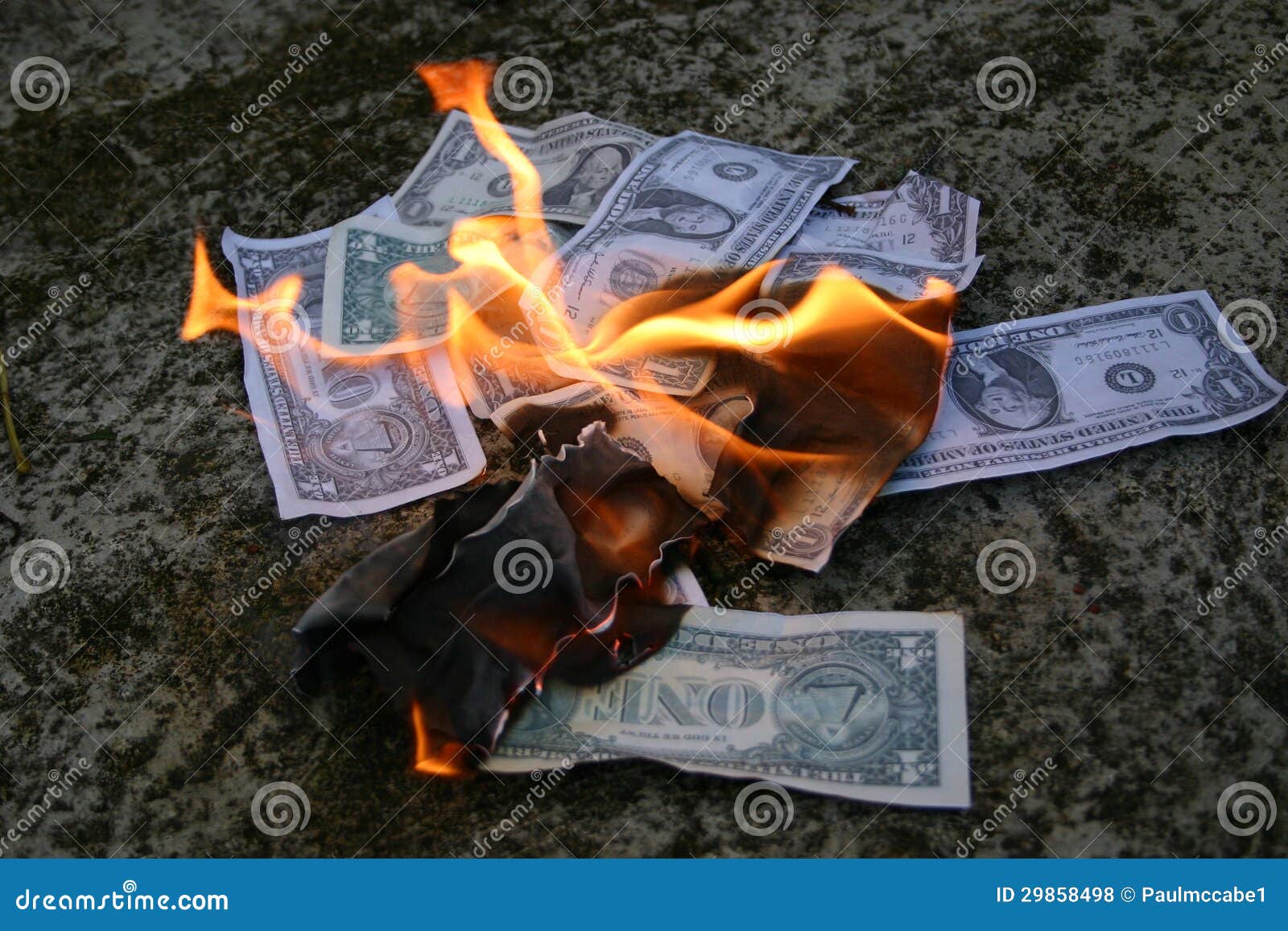 Money to burn stock photo. Image of dollars, burn, fire - 29858498