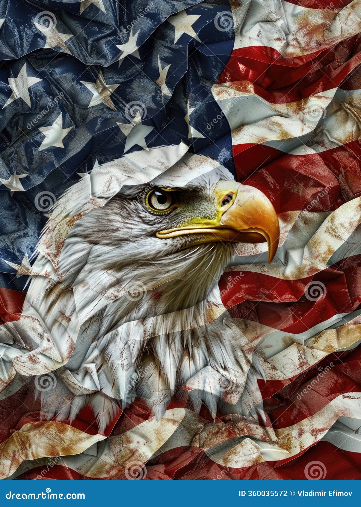 American Eagle stock photo. Image of strong, national - 360035572