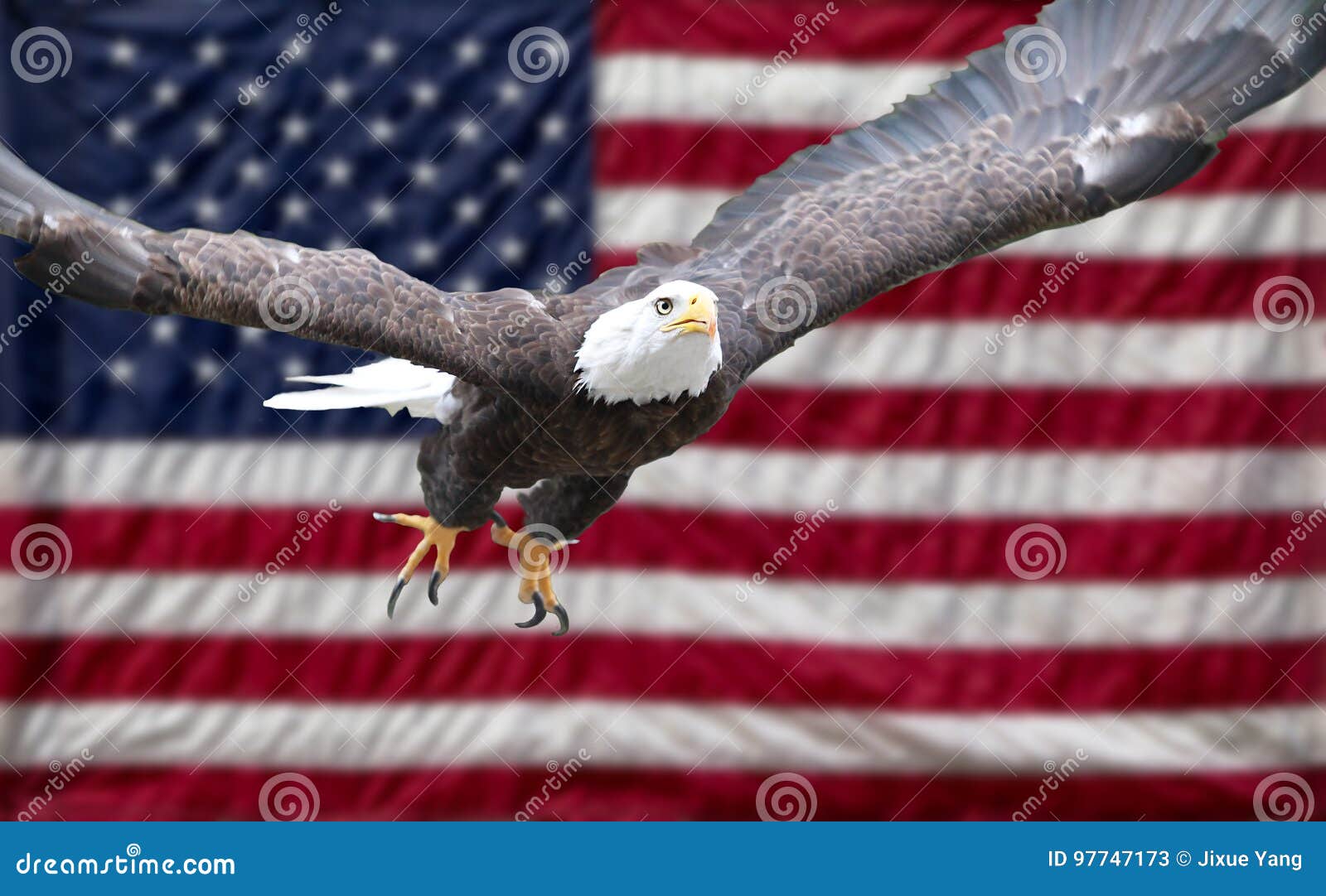 American Eagle with Flag stock image. Image of courage - 97747173