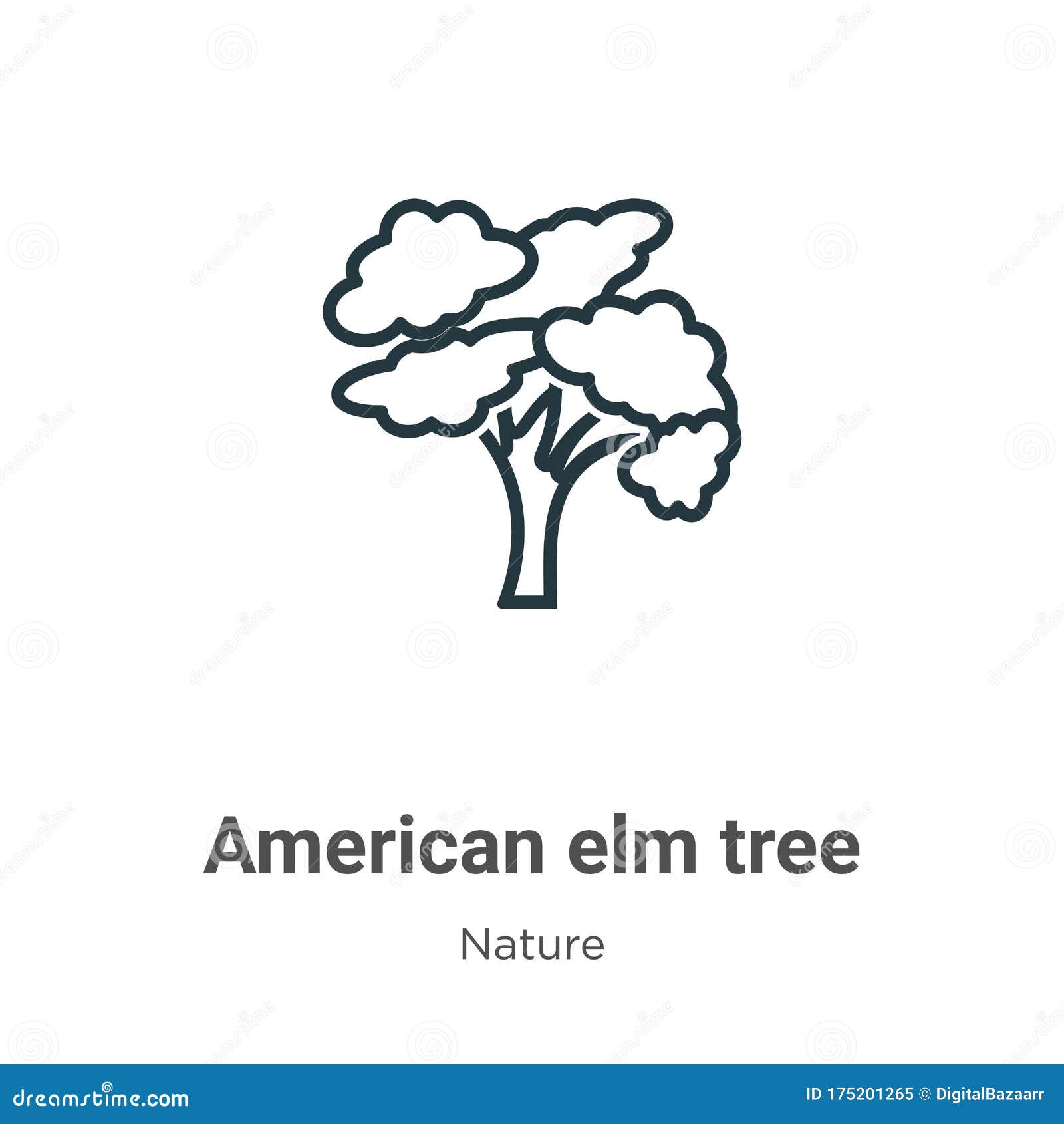 American Elm Tree Outline Vector Icon. Thin Line Black American Elm ...