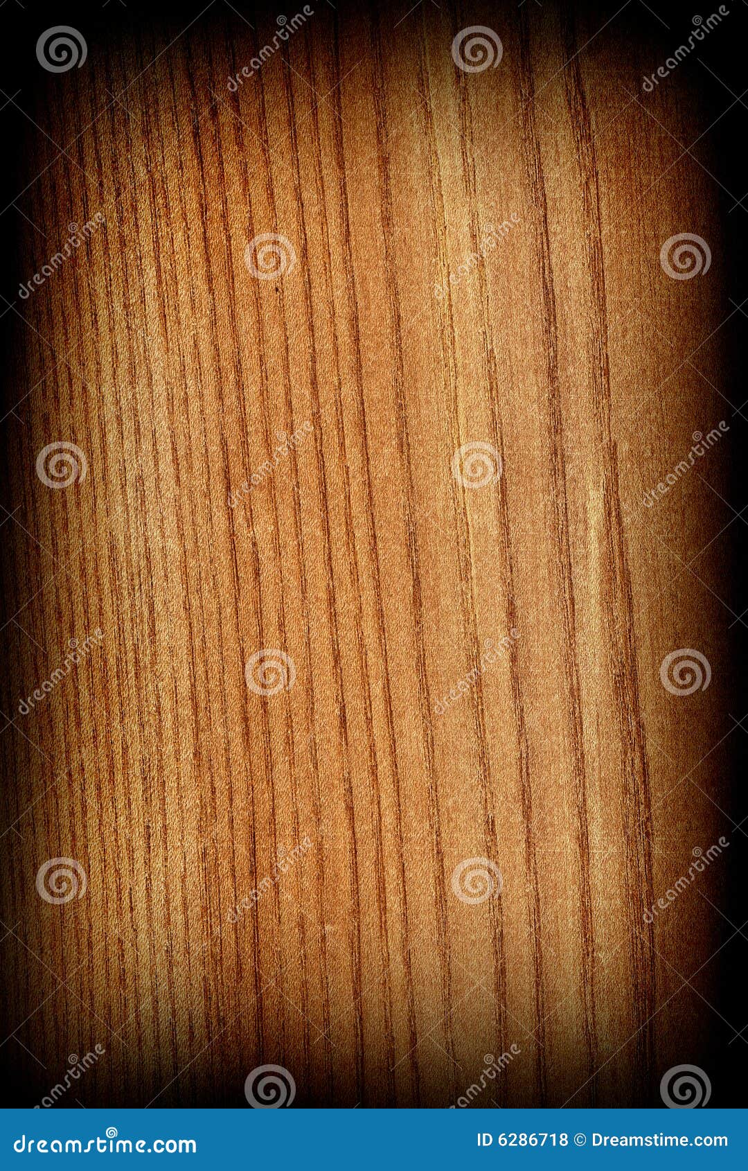American elm wood stock illustration. Illustration of hard - 6286718