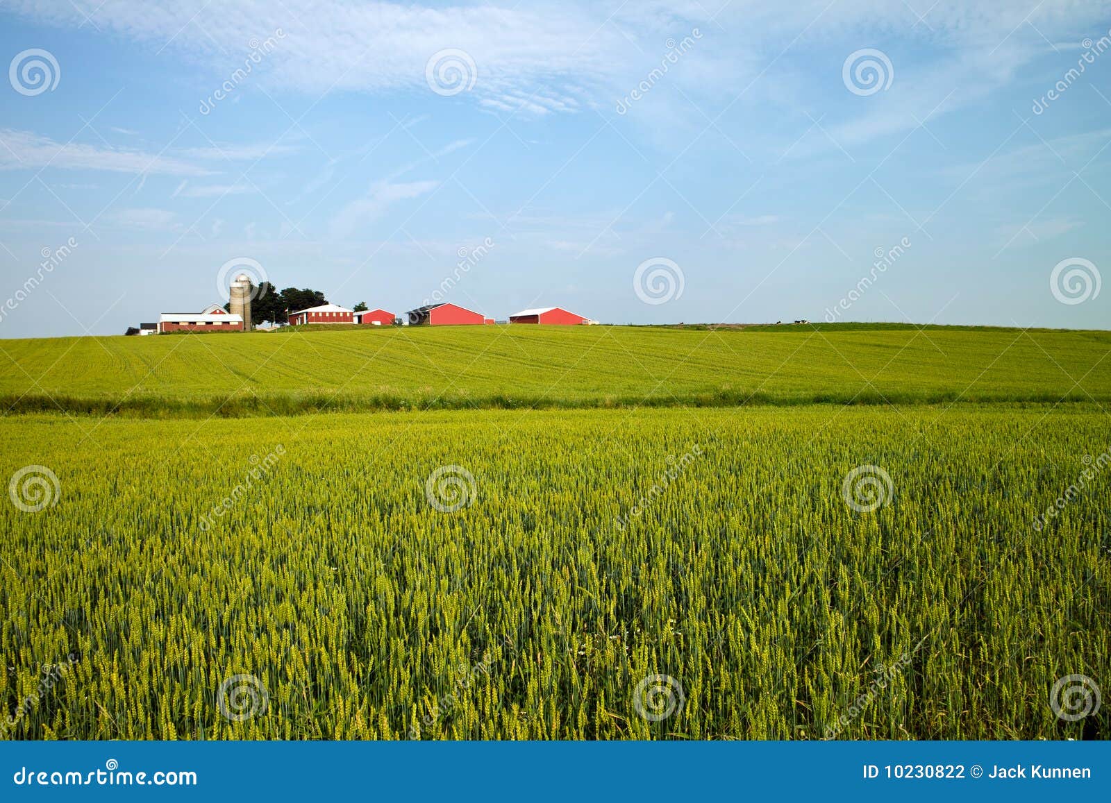American Farm stock photo. Image of grain, fields, barn - 10230822