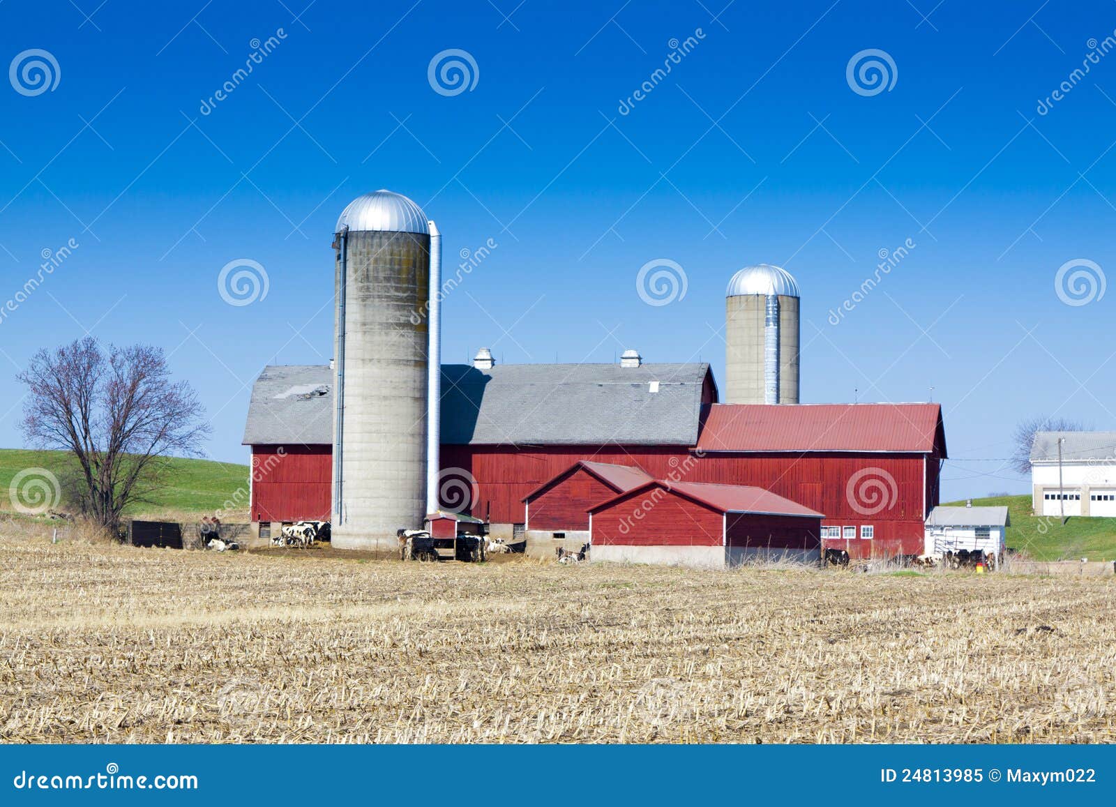 American Farm stock image. Image of field, industry, midwest - 24813985