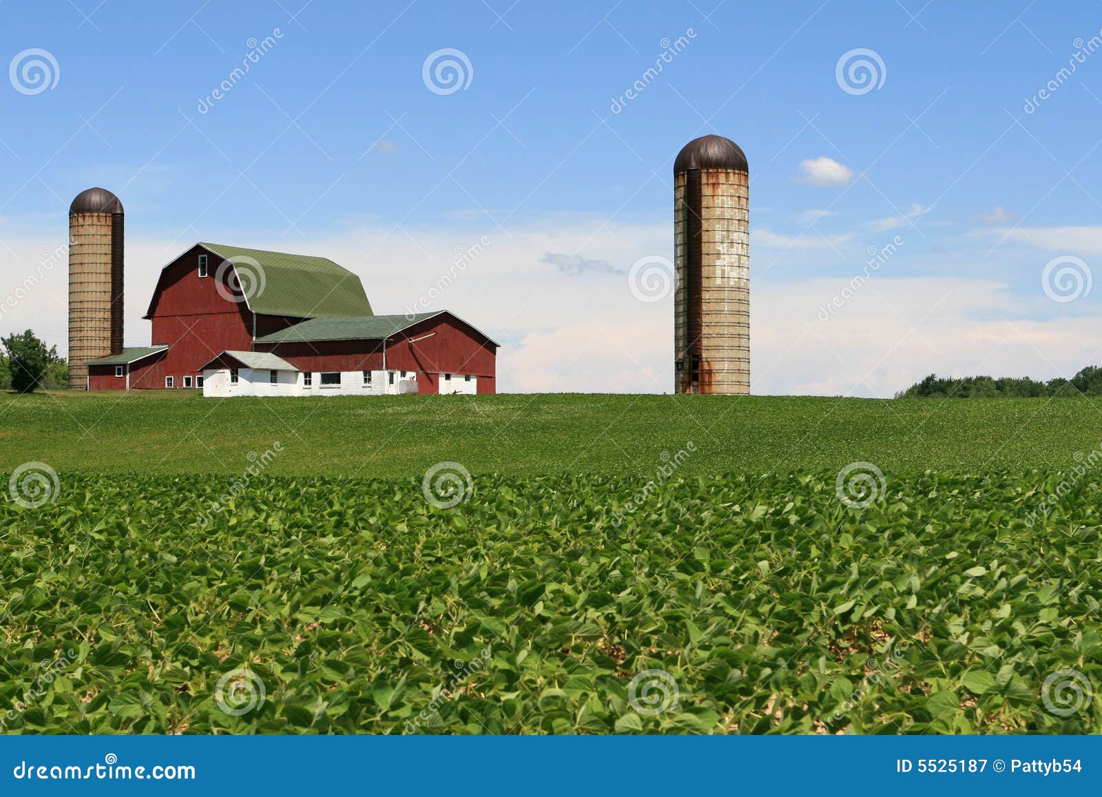 American Farms