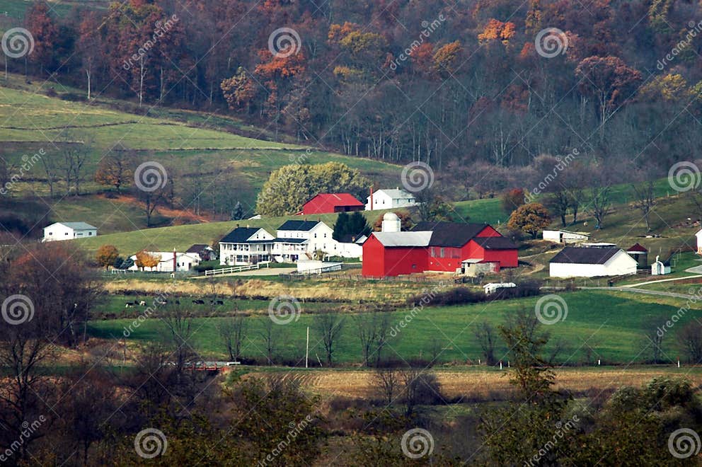 American Farm Scene stock photo. Image of homestead, buildings - 3767304