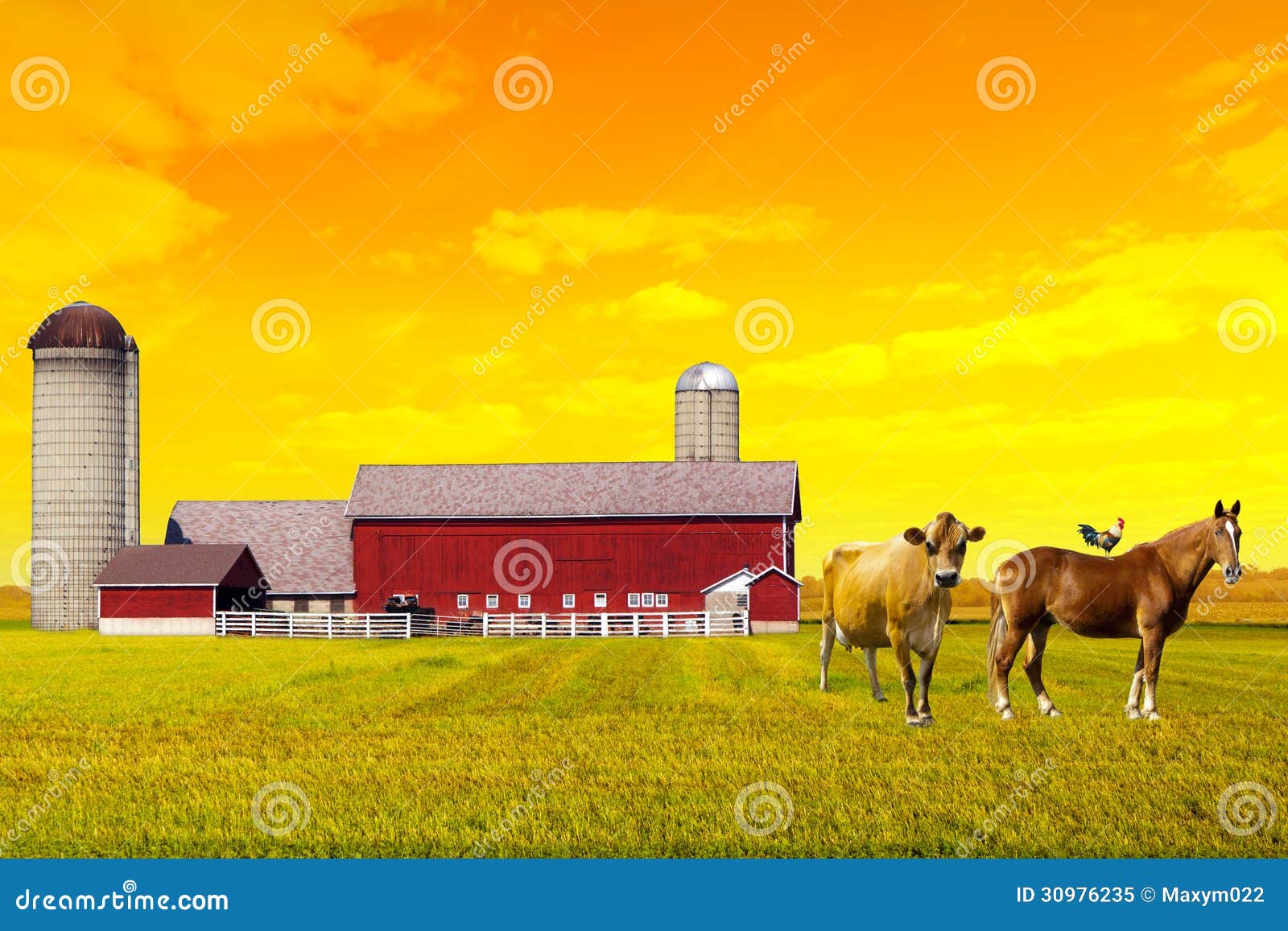 American Farm stock image. Image of area, farmer, farming - 30976235