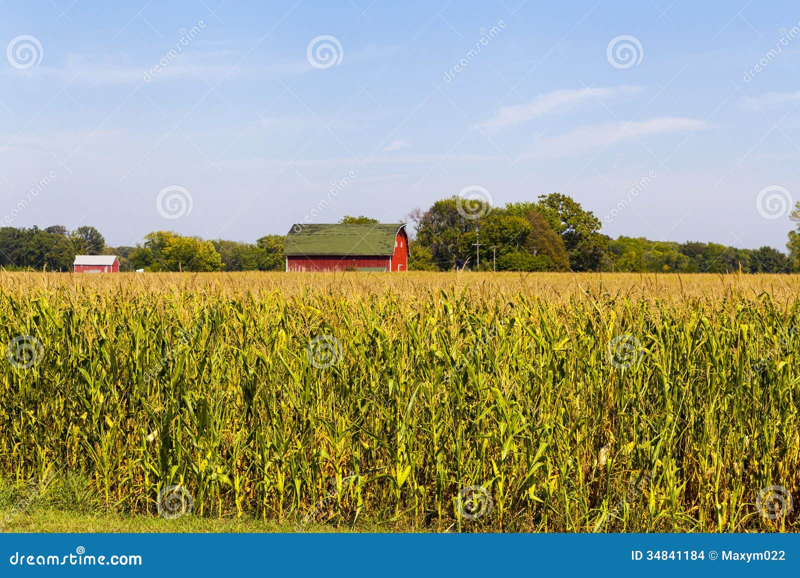 American Farmland stock photo. Image of farming, organic - 34841184