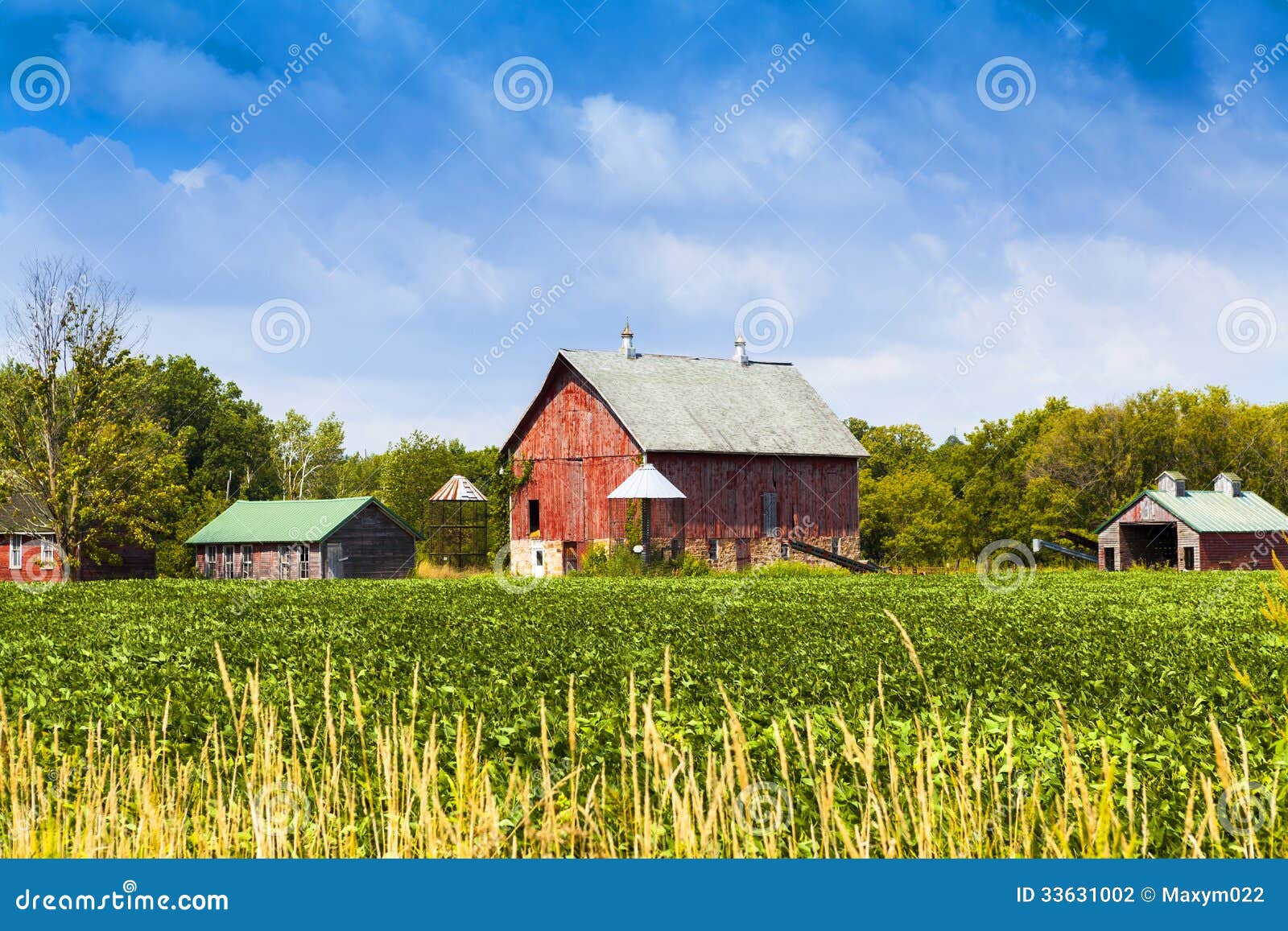 American Farmland stock photo. Image of grow, midwest - 33631002
