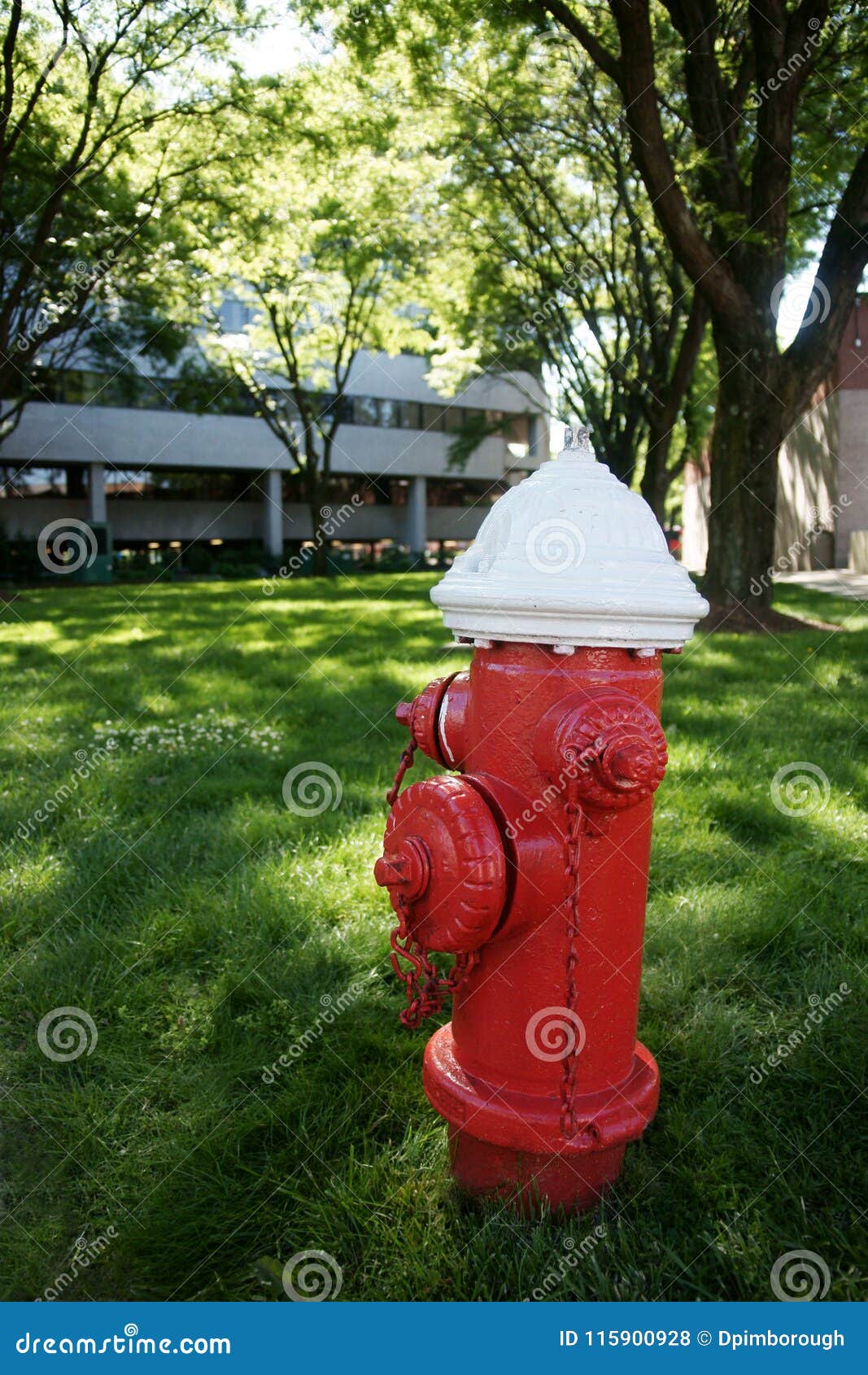 American Fire Hydrant Or Standpipe Connection Stock Photo - Image of ...