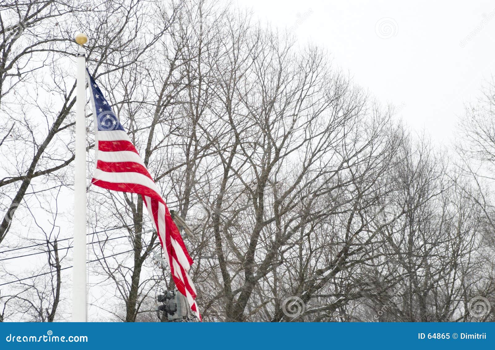 American flag stock image. Image of state, trees, nation - 64865
