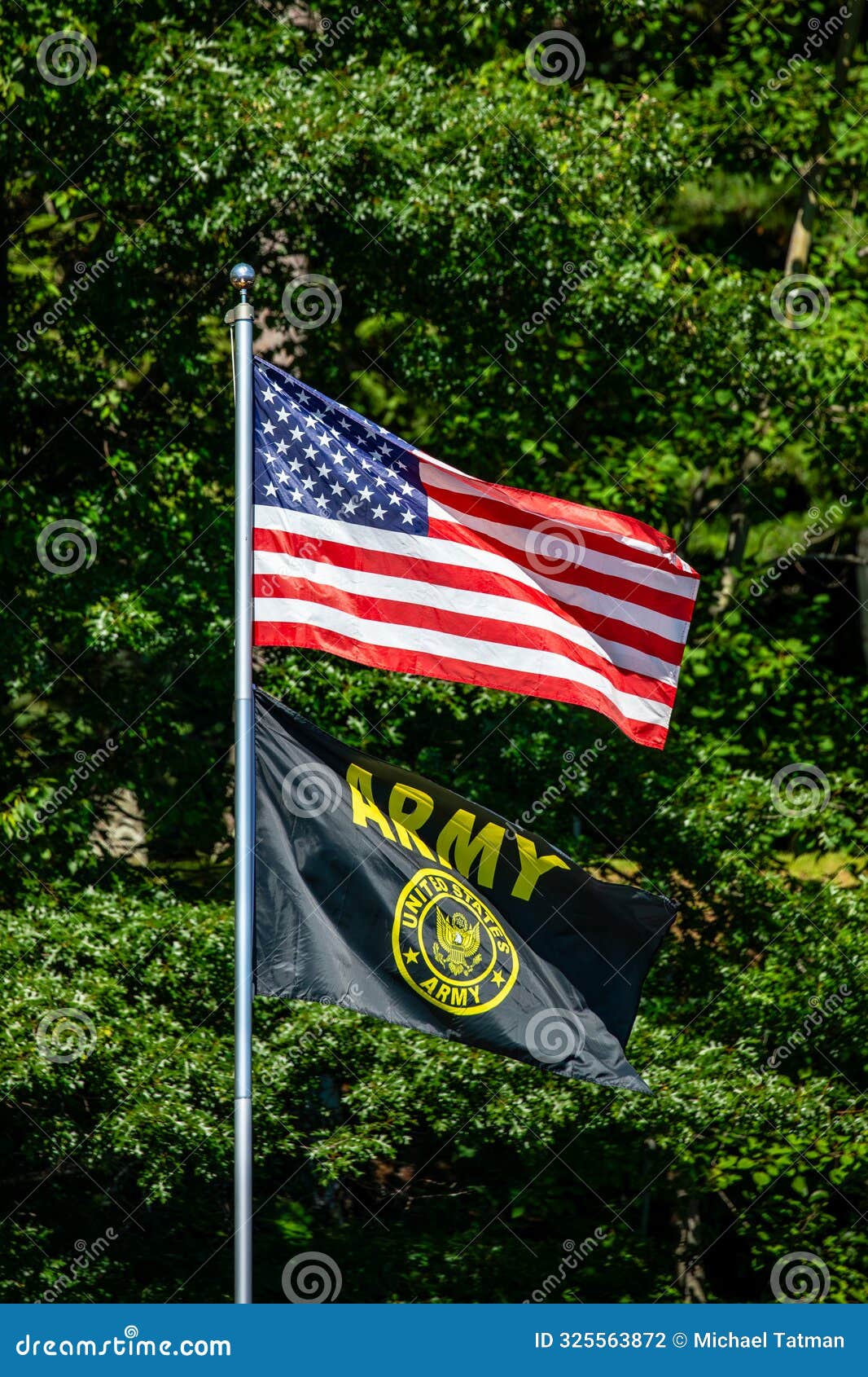 American Flag and Army Flag on a Pole in Front of a Forest Editorial ...