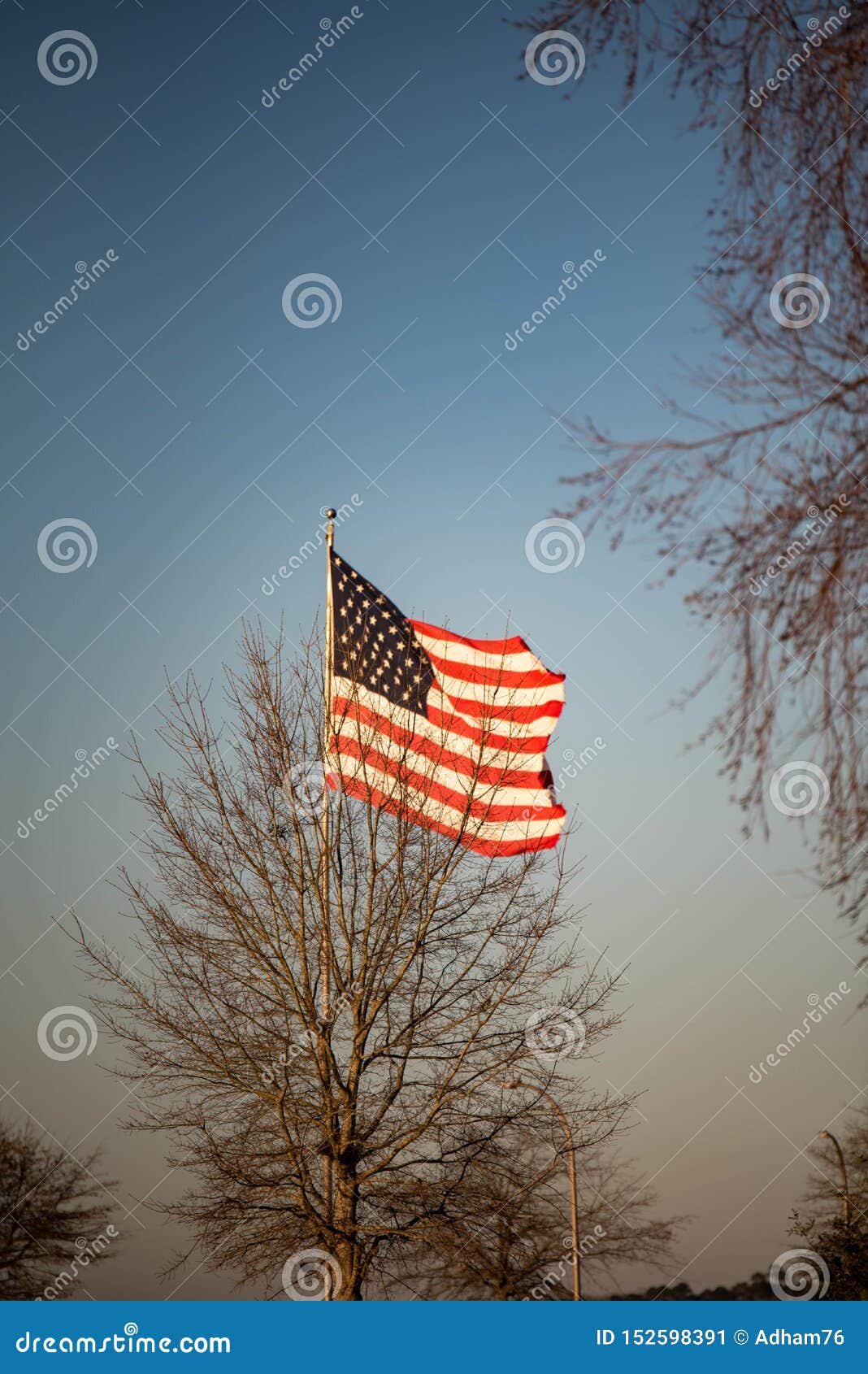American Flag Behind Trees stock image. Image of dark - 152598391