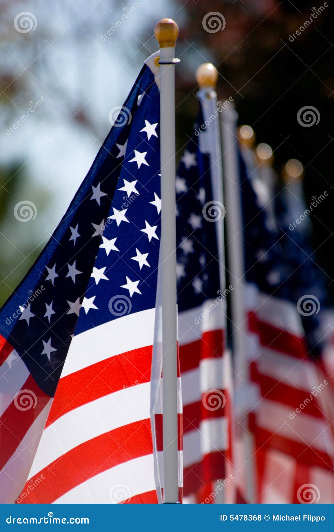 American Flag Display for Holiday Stock Photo - Image of united ...