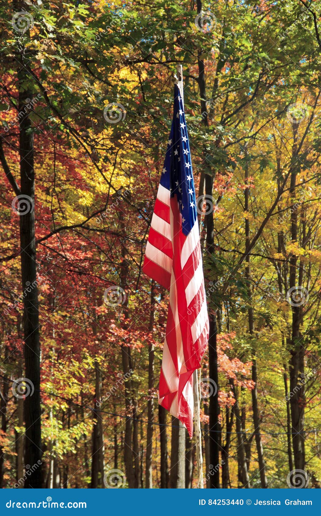 American Flag in the fall stock photo. Image of flag - 84253440