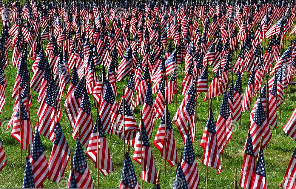 American flag field stock image. Image of national, america - 12971209