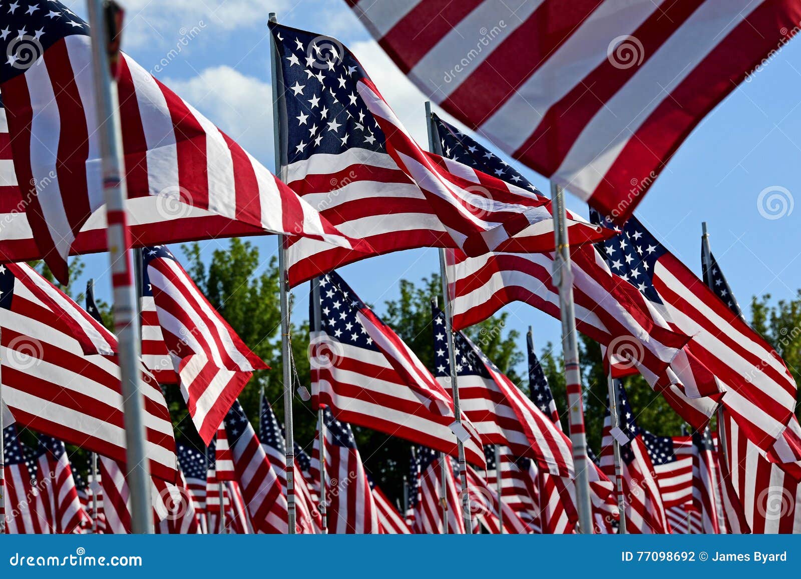 American flag field stock photo. Image of patriotic, america - 77098692