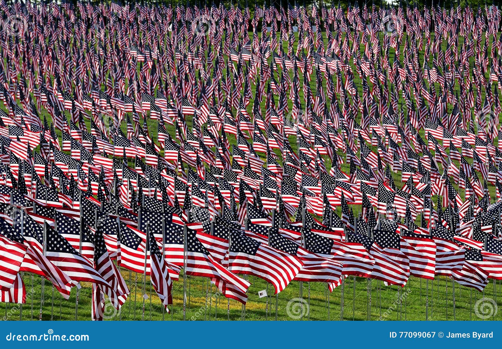 American flag field stock image. Image of government - 77099067